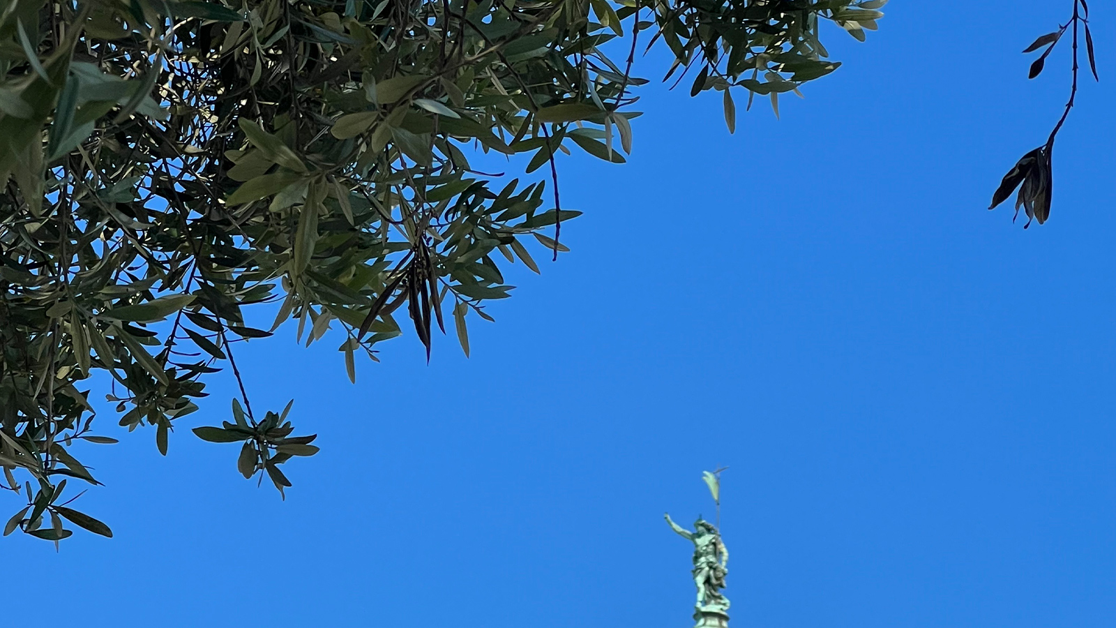 Scarlett Conlon - Fashion & Lifestyle Journalist & Author